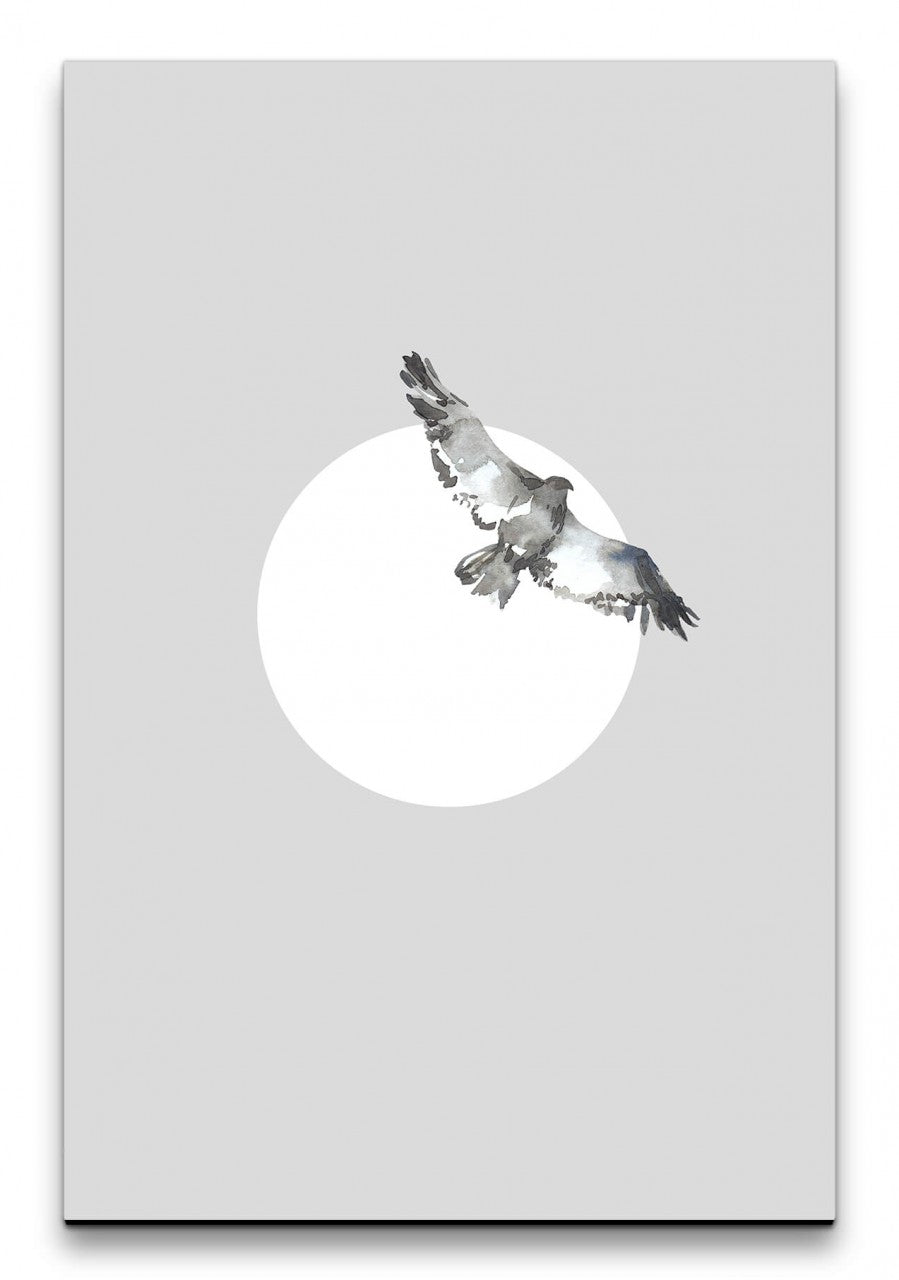 Vogel Taube Grautöne Wasserfarben weißer Kreis Minimal – Sinus Art GmbH ...